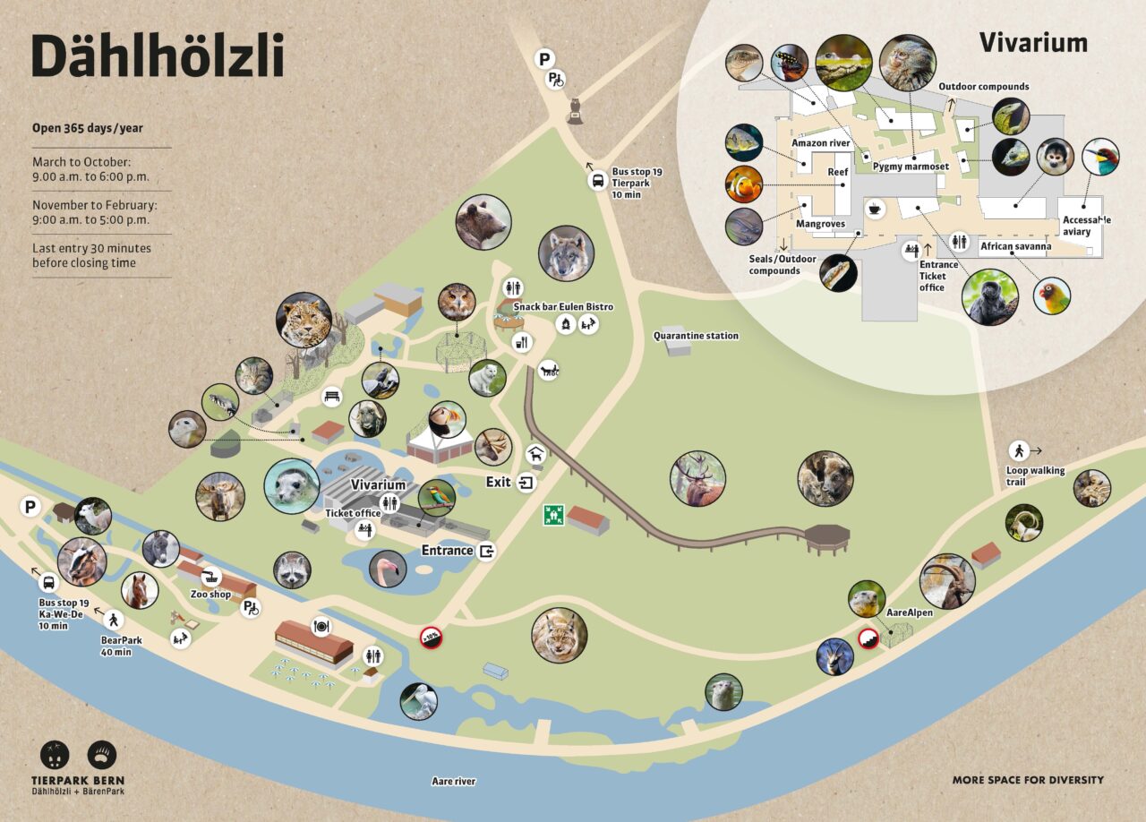 Zoo map | Tierpark Bern